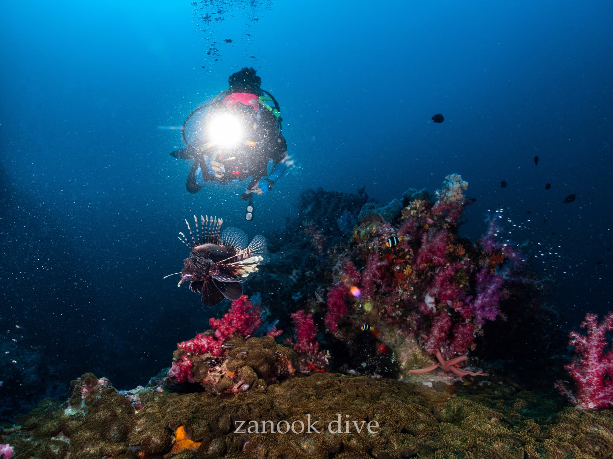 13 Richelieu - Zanook Dive