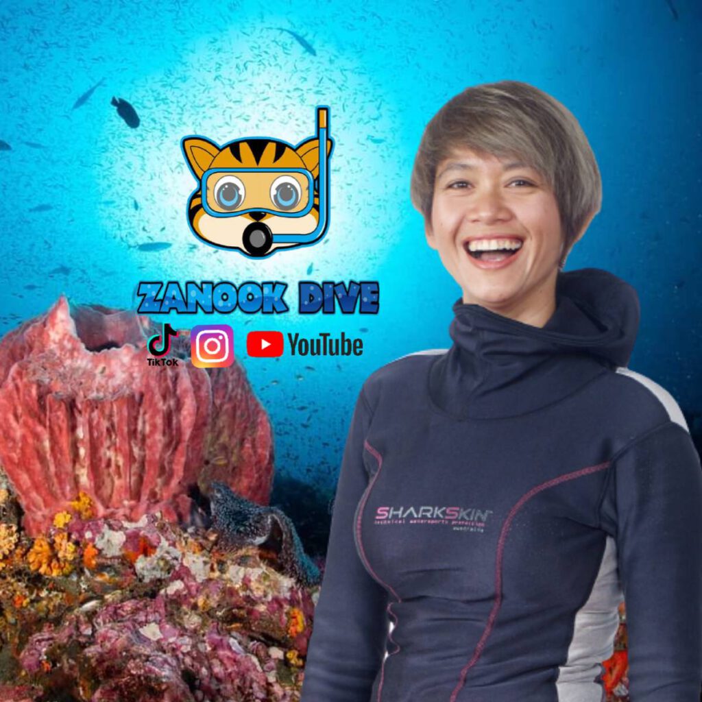 About Us - Zanook Dive