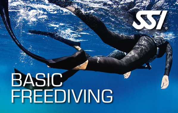 Basic freediving - Zanook Dive