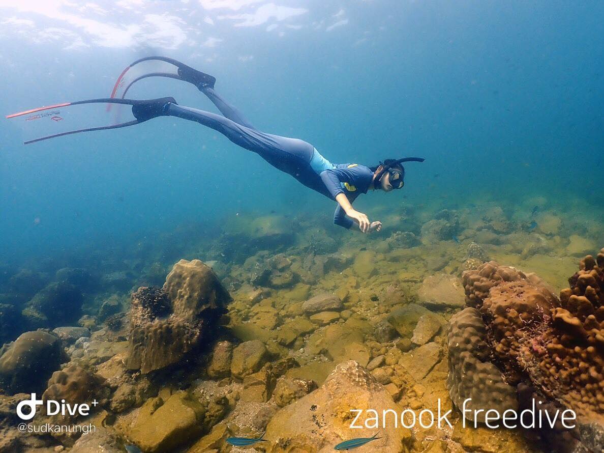 Facebook shop 11 - Zanook Dive