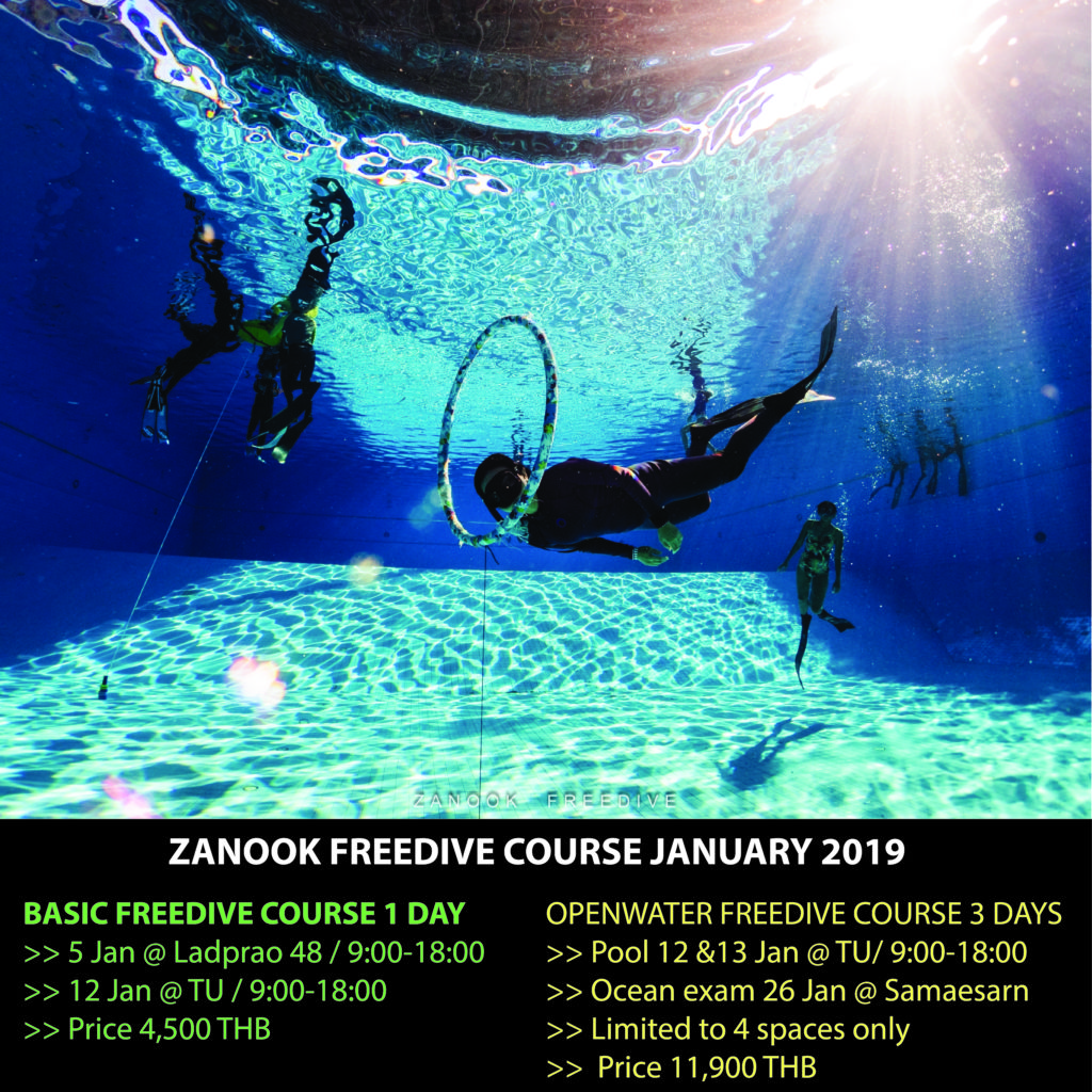 Freedive Jan 2019 - Zanook Dive