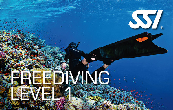 Freediving level 1 - Zanook Dive