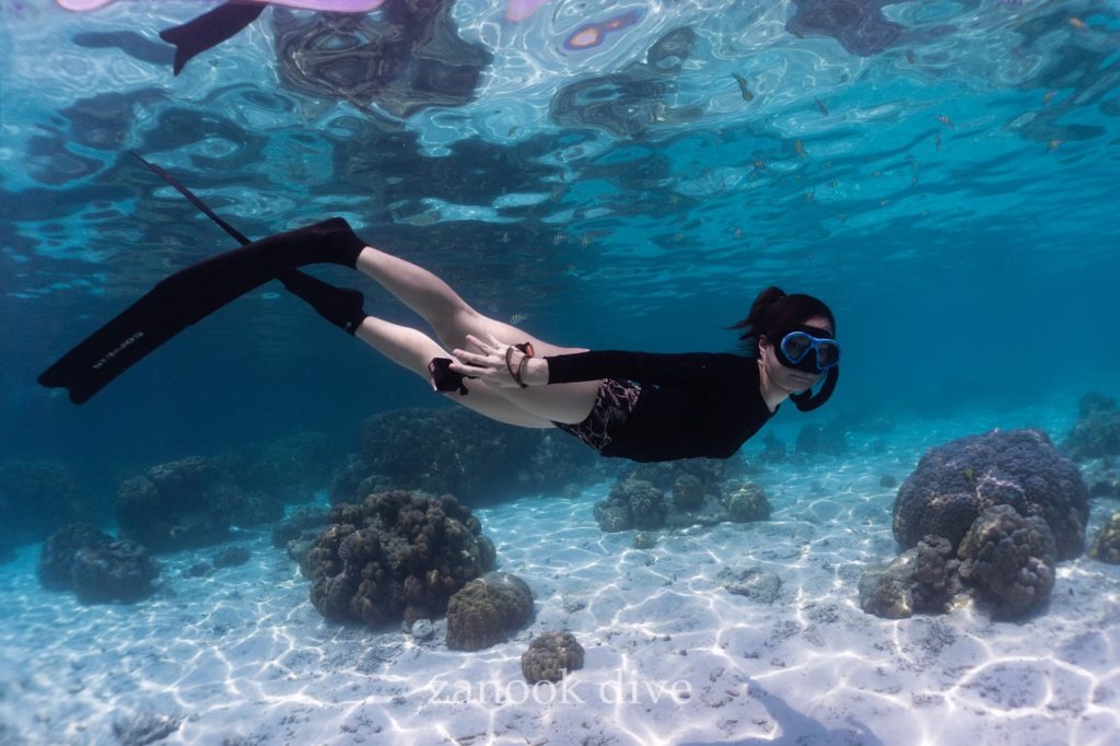 Surin 03 - Zanook Dive