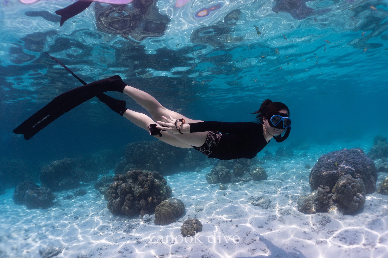 Surin 03 - Zanook Dive