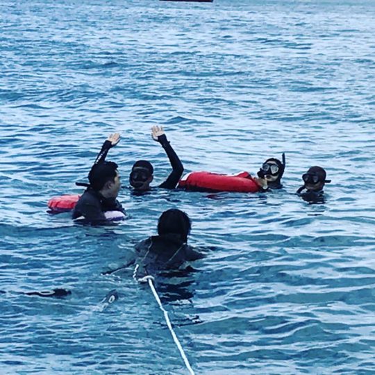 feature 3 - Zanook Dive