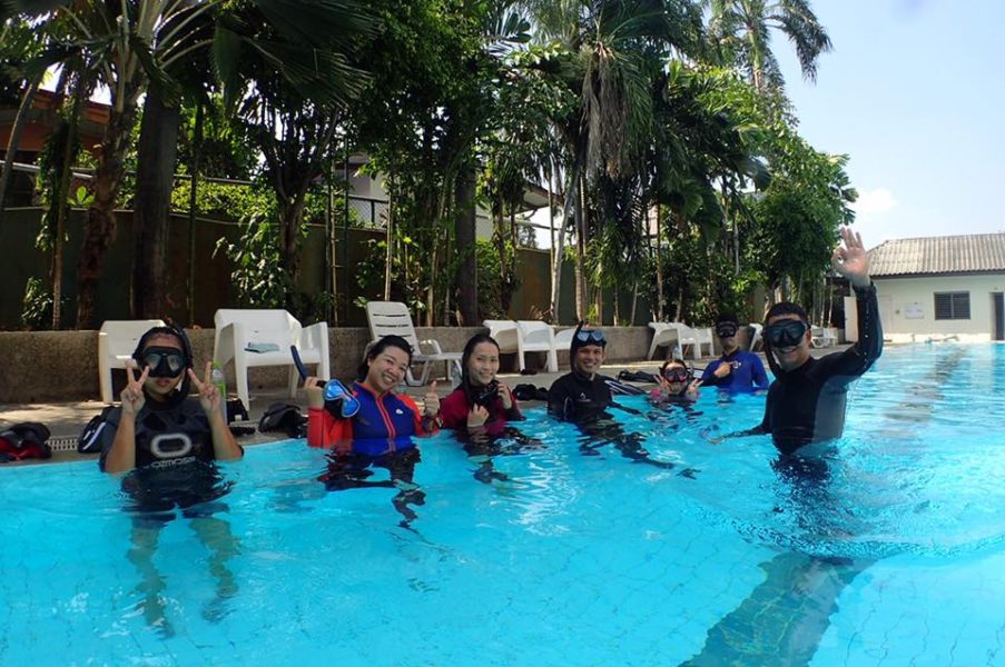 feature 7 - Zanook Dive