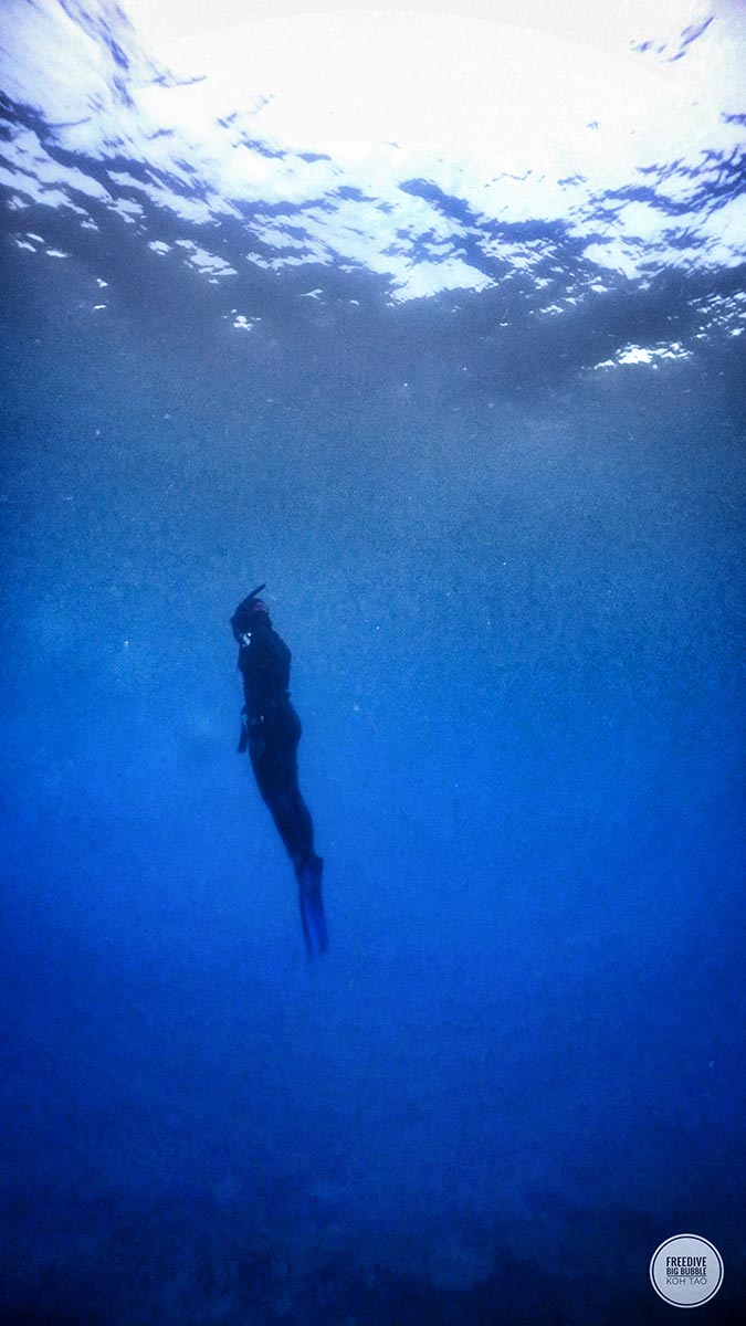 คอร์ส-Freedive-03 - Zanook Dive