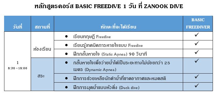 หลักสูตร Basic freedive 1 วัน - Zanook Dive