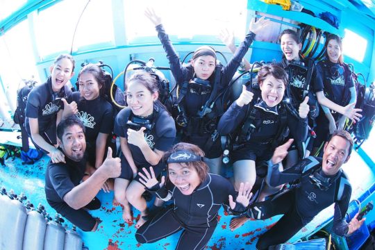 Gallery - Zanook Dive