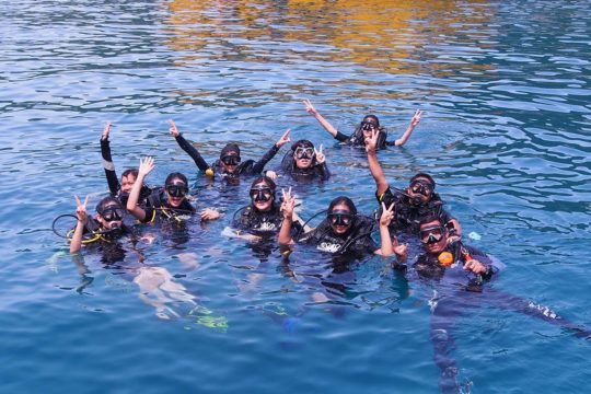 Gallery - Zanook Dive