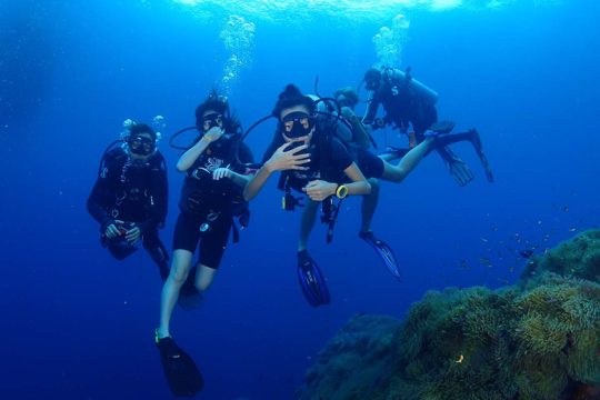 Gallery - Zanook Dive