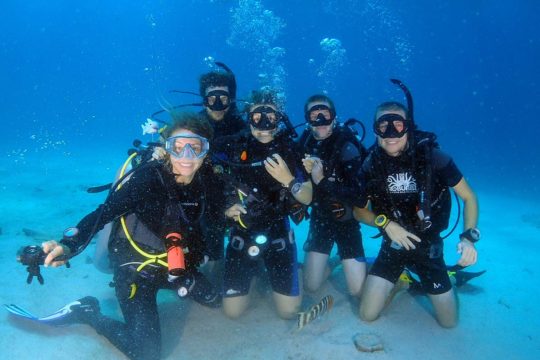 Gallery - Zanook Dive