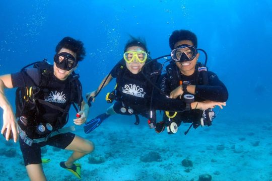 Gallery - Zanook Dive