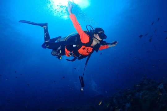 Gallery - Zanook Dive