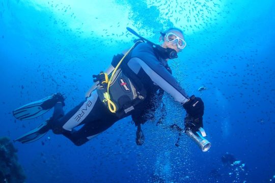 Gallery - Zanook Dive