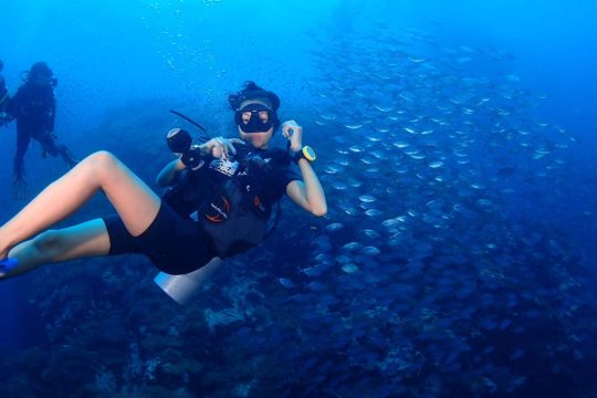 Gallery - Zanook Dive