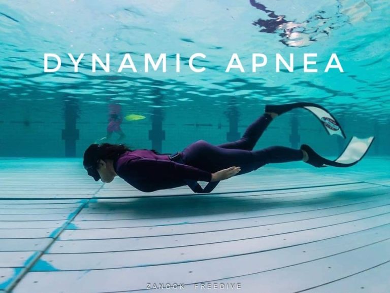 Dynamic Apnea - Zanook Dive