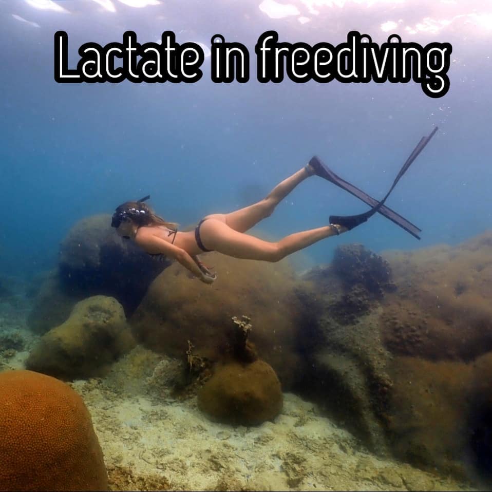 20190526 Lactate in freediving - Zanook Dive