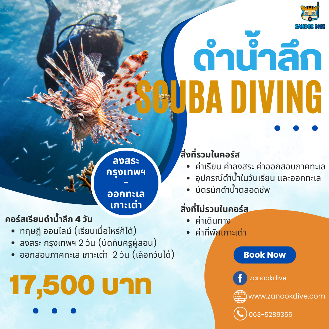 01 Scuba diving - Zanook Dive