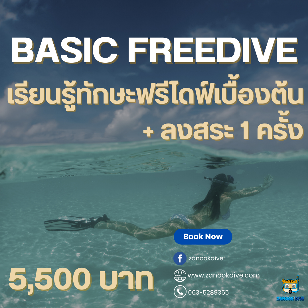 02 Basic freedive - Zanook Dive
