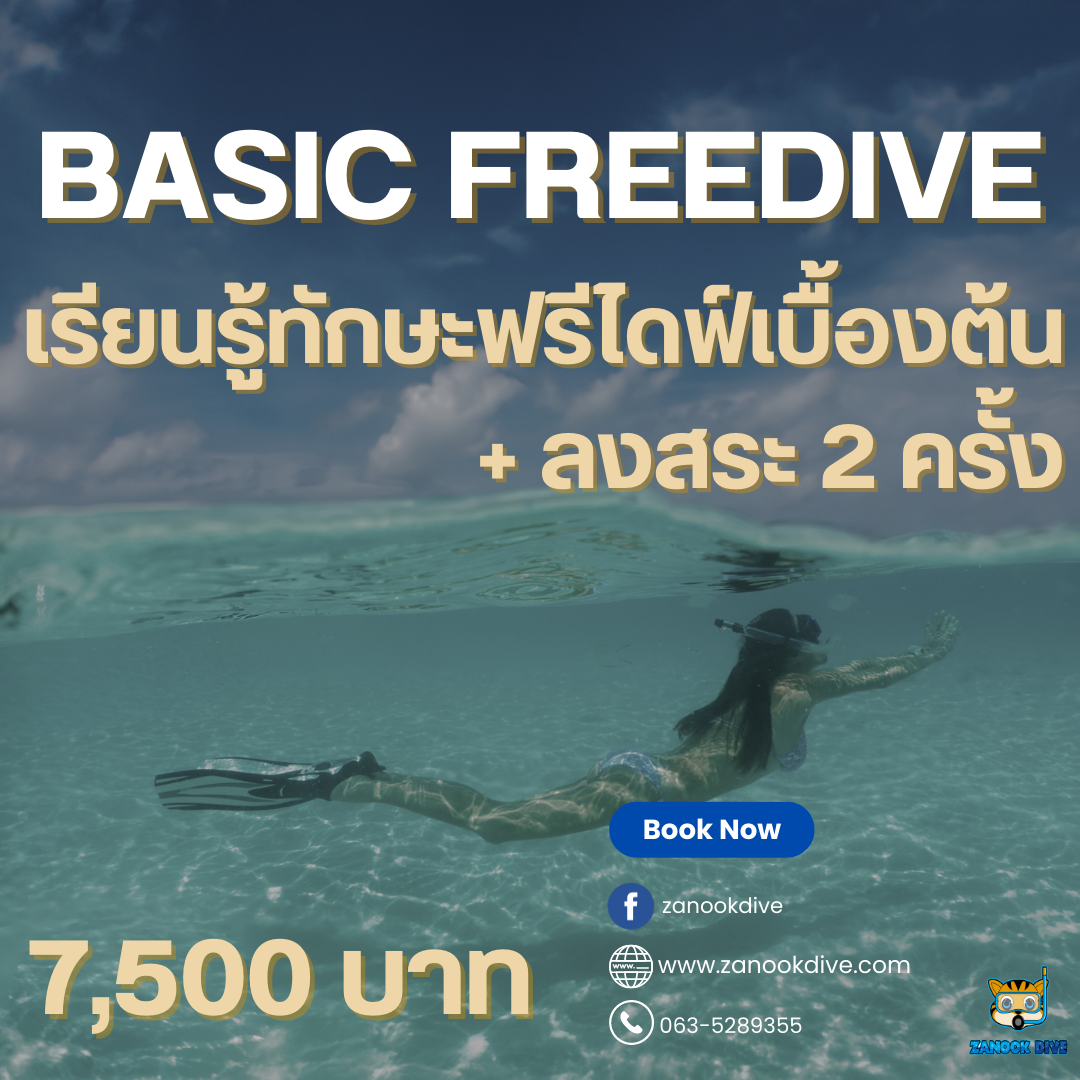 02 Basic freedive - Zanook Dive