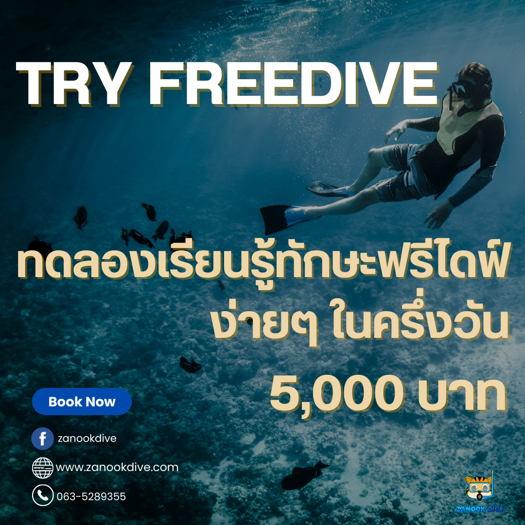 04 Try freedive - Zanook Dive