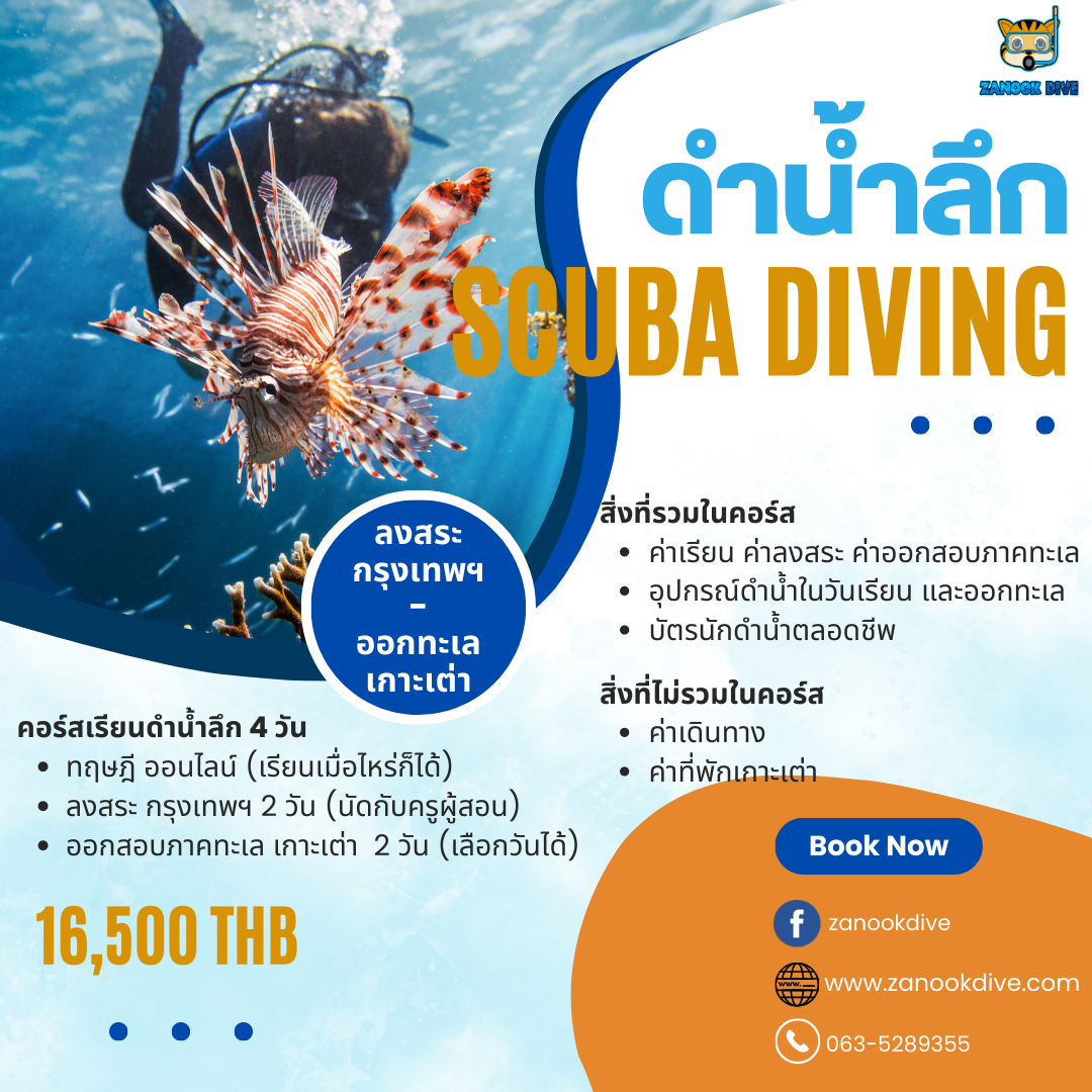 Scuba diving poster - Zanook Dive