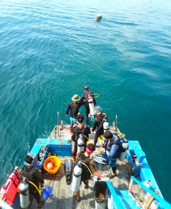 254266936_3081528895463653_8193731990388827599_n - Zanook Dive