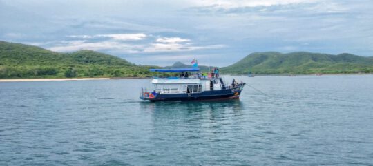 Orca 01 - Zanook Dive