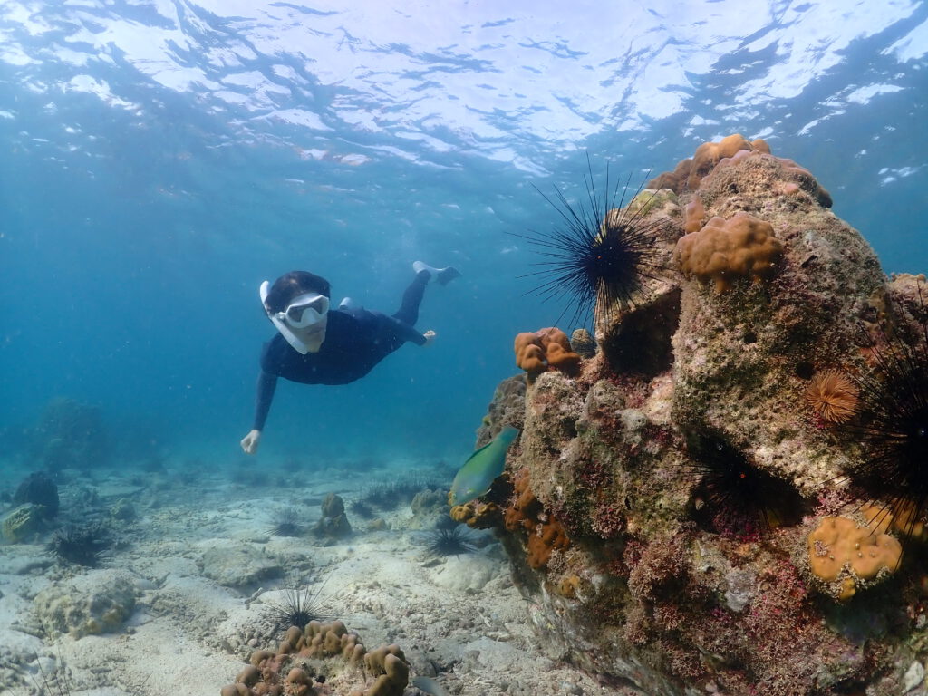 P6020110 - Zanook Dive