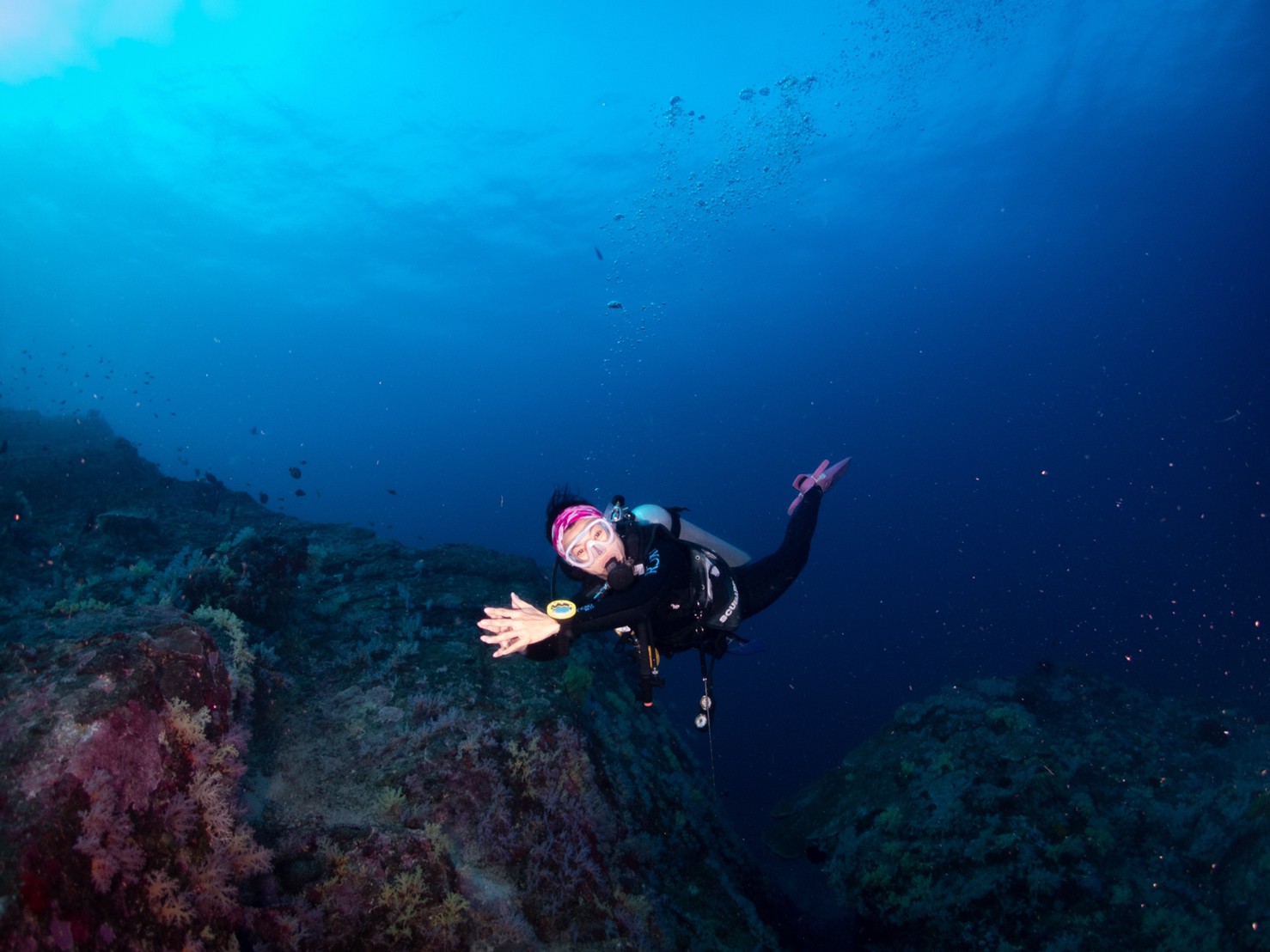 Koh Bon 05 - Zanook Dive
